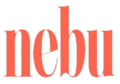 Nebu Logo Nebu Flow Secured US$5,900,000 In A Crazy Growth Funding